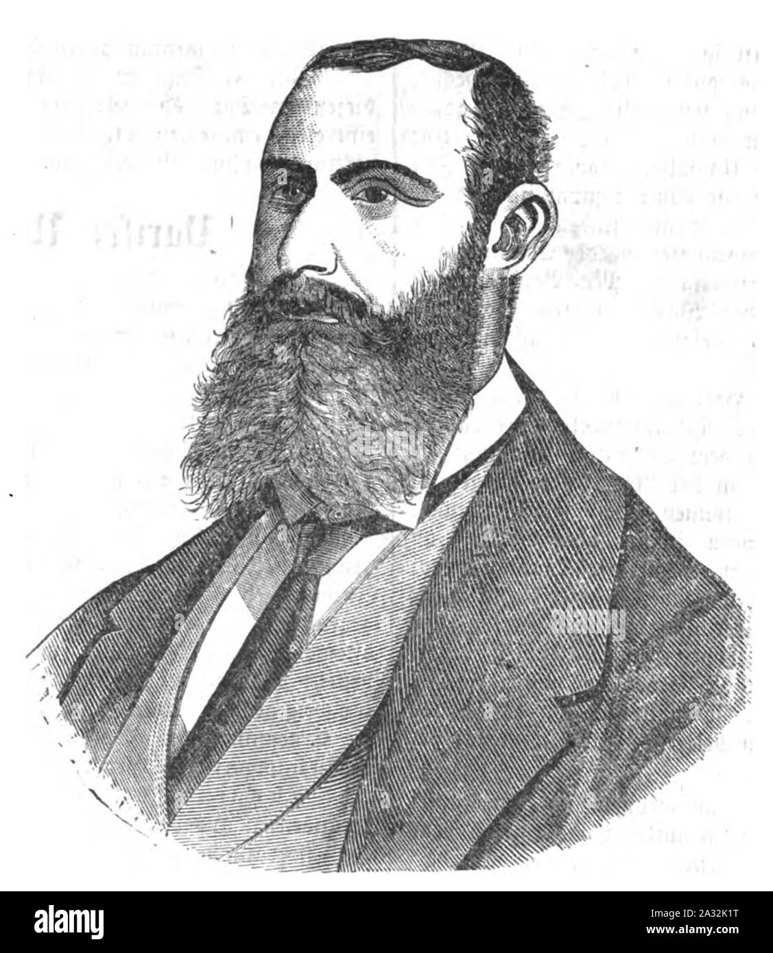 Minkus hi-res stock photography and images - Alamy