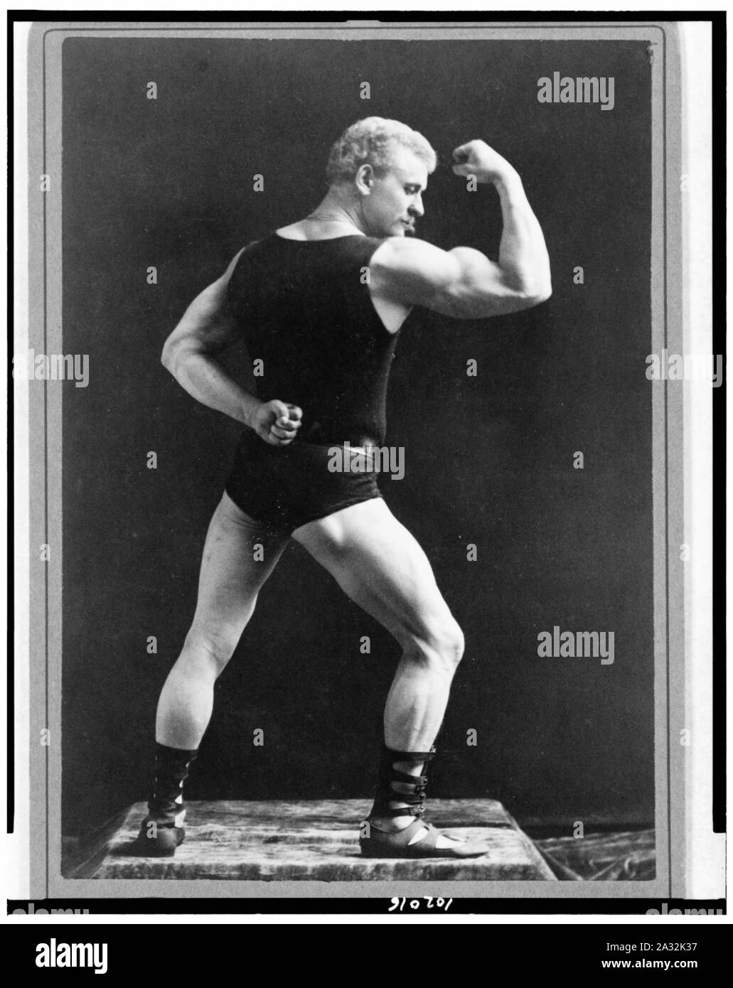 Eugen Sandow, full-length portrait, standing, facing right, rear view ...