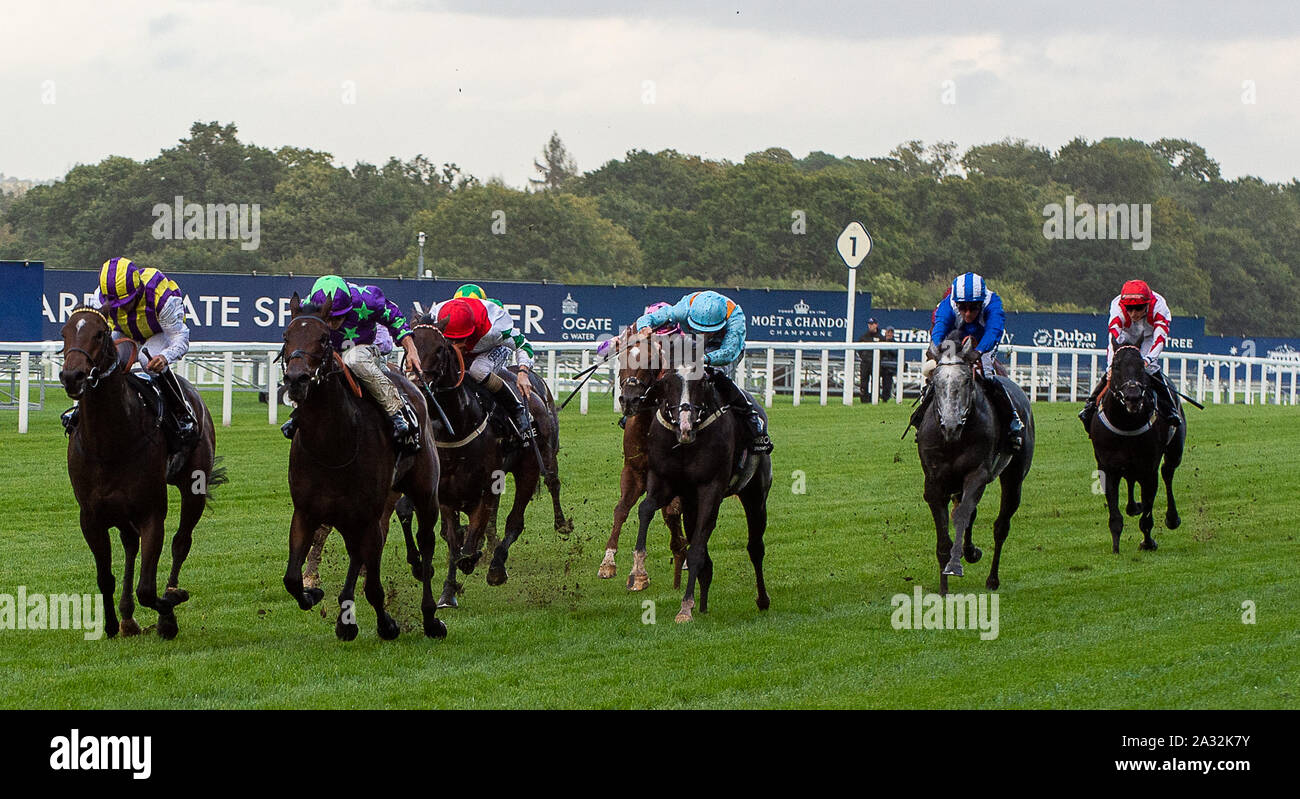 Autumn Racing Weekend & Ascot Beer Festival, Ascot Racecourse, Ascot ...