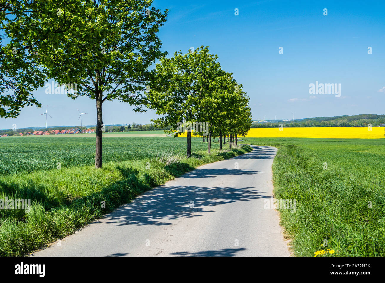 Spring on a country road Stock Photo - Alamy