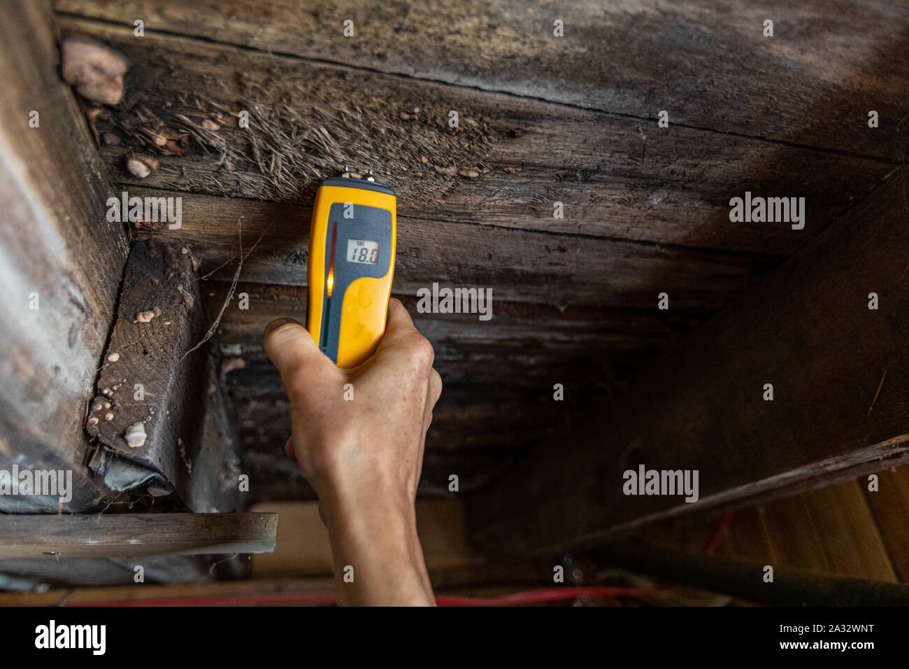 Wood structural defects hi-res stock photography and images - Alamy