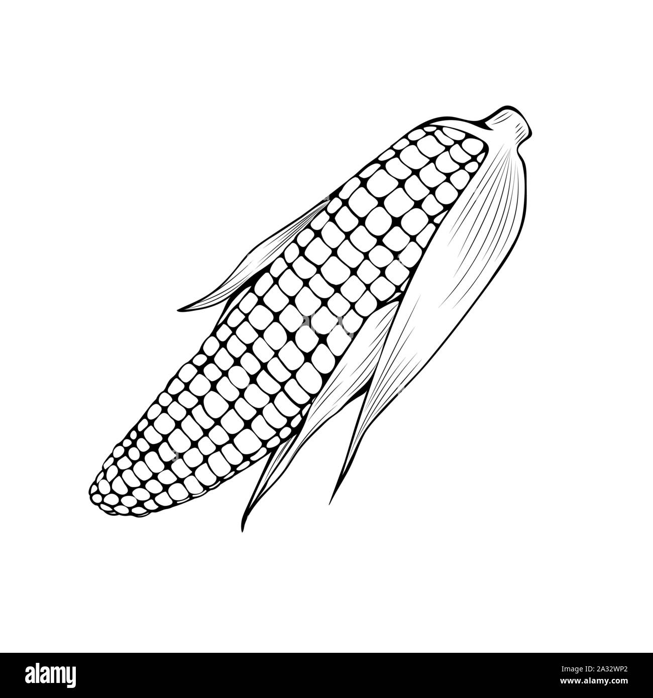 Corn drawing Stock Vector Images - Alamy