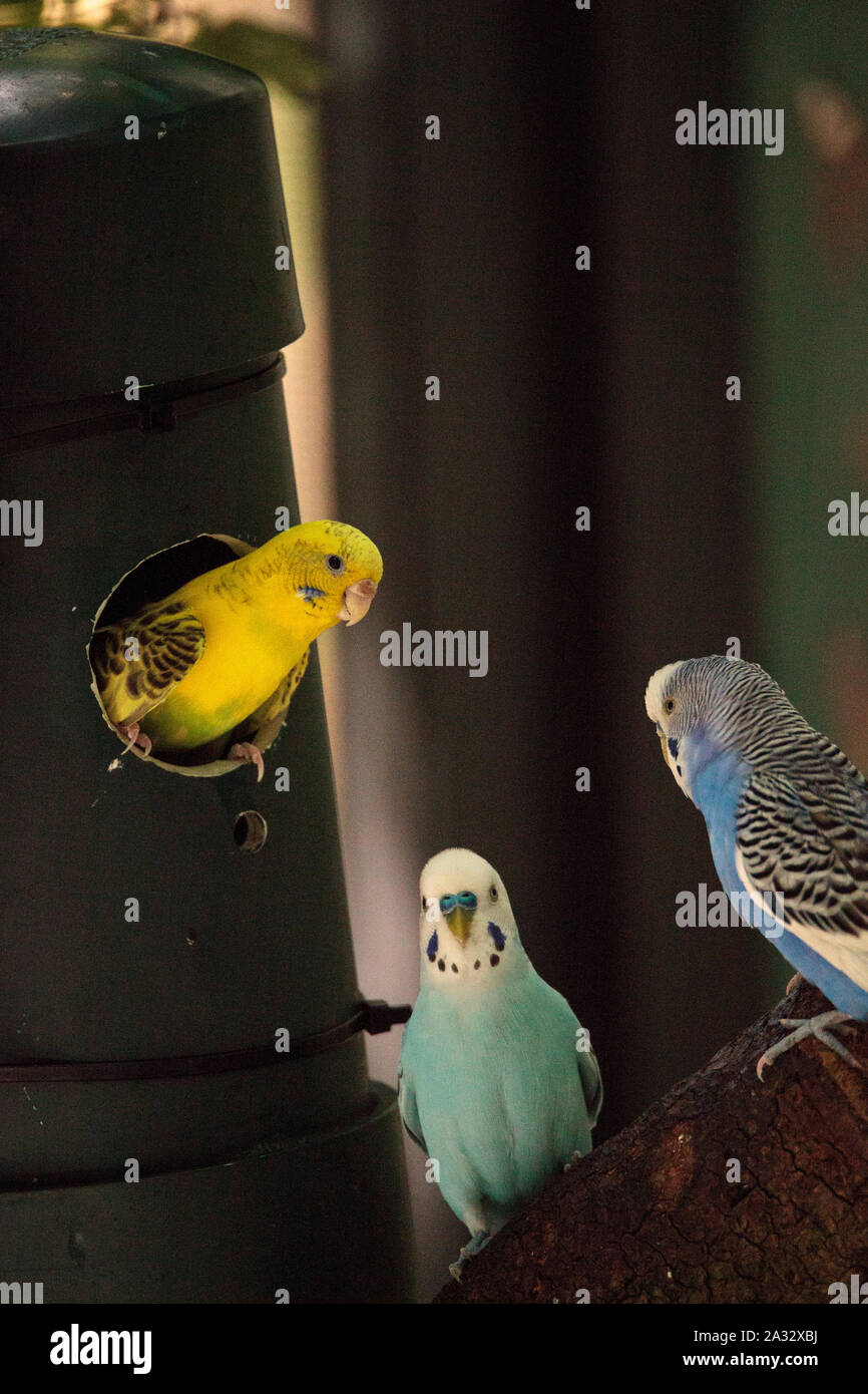 Offer seed hi-res stock photography and images - Alamy