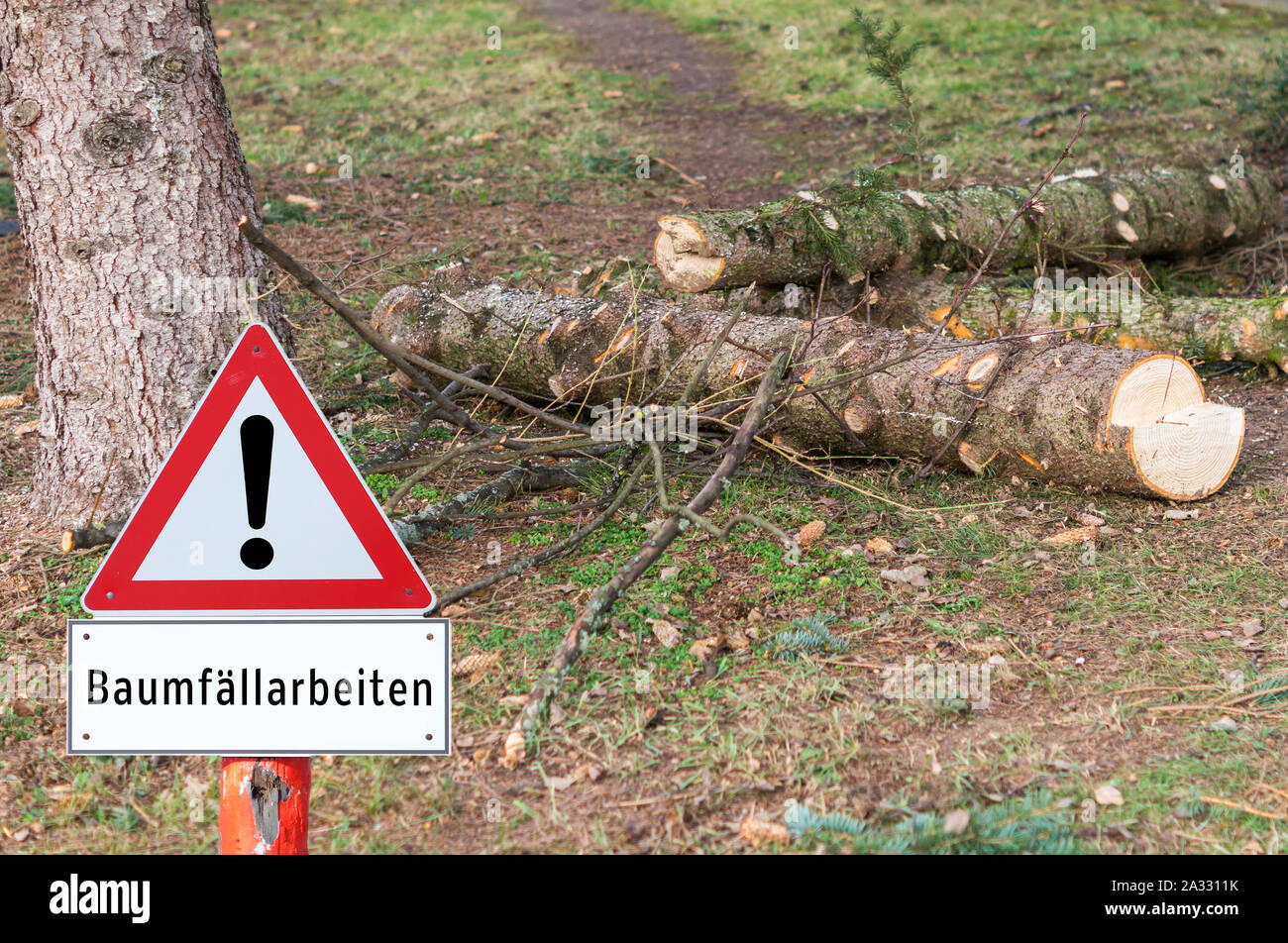 Notice of tree felling hi-res stock photography and images - Alamy