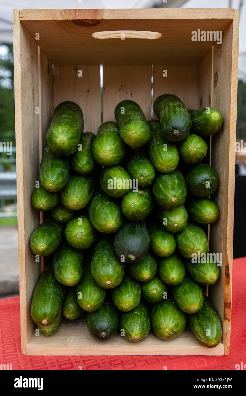 A closeup view of a wooden crate filled with ripe green zucchini, aka ...