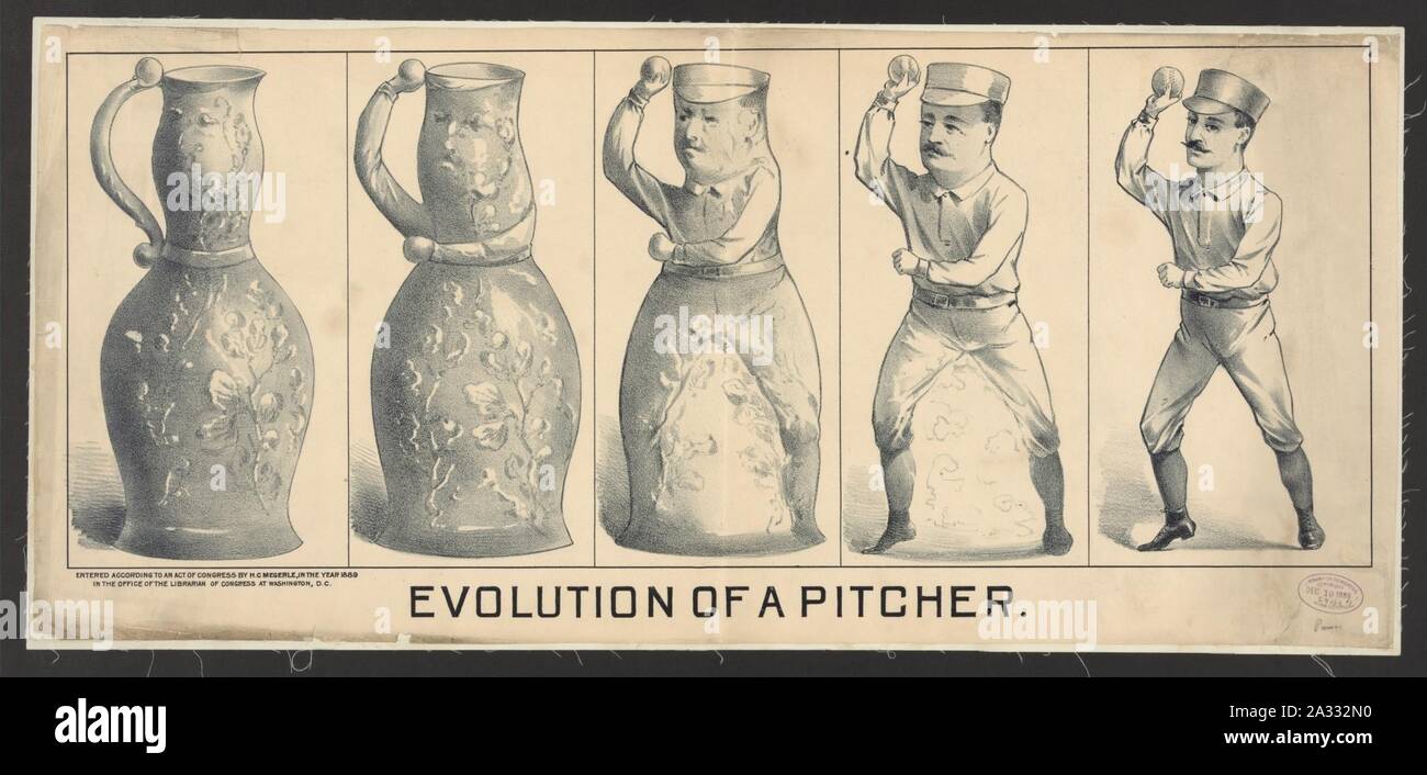 Evolution of a pitcher Stock Photo - Alamy