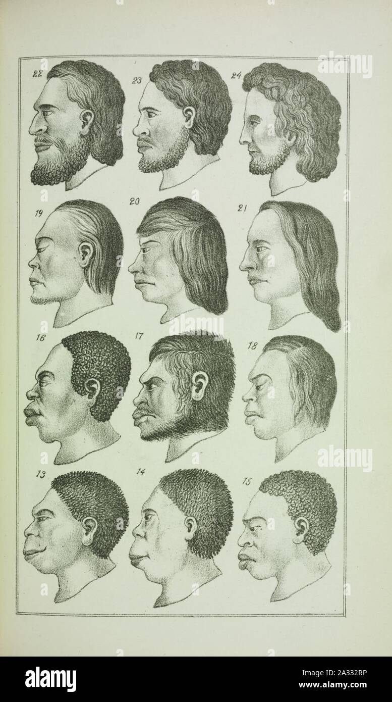 Evolution of life (Plate 30) (8405184969 Stock Photo - Alamy