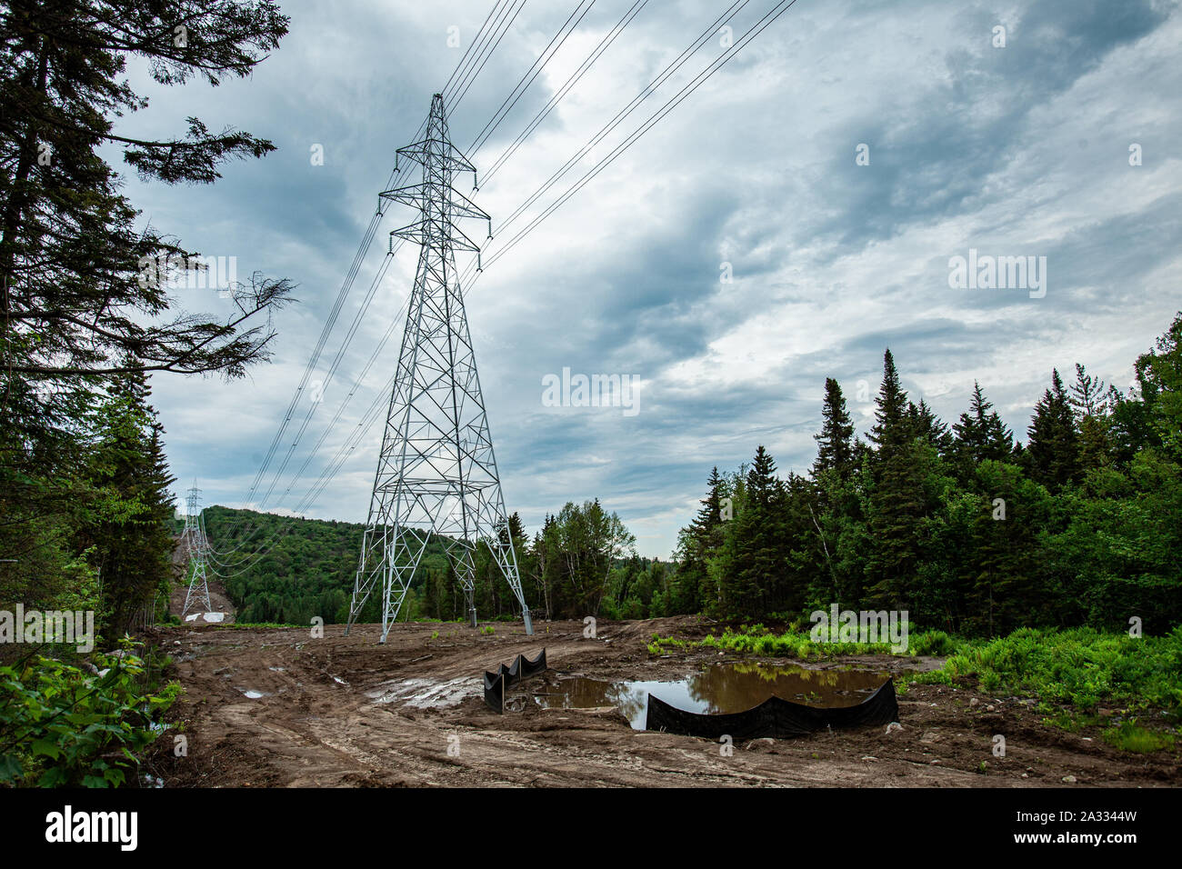 Industry vs nature juxtaposition is seen in a forest clearing with tall ... Industry vs nature juxtaposition is seen in a forest clearing with tall ...