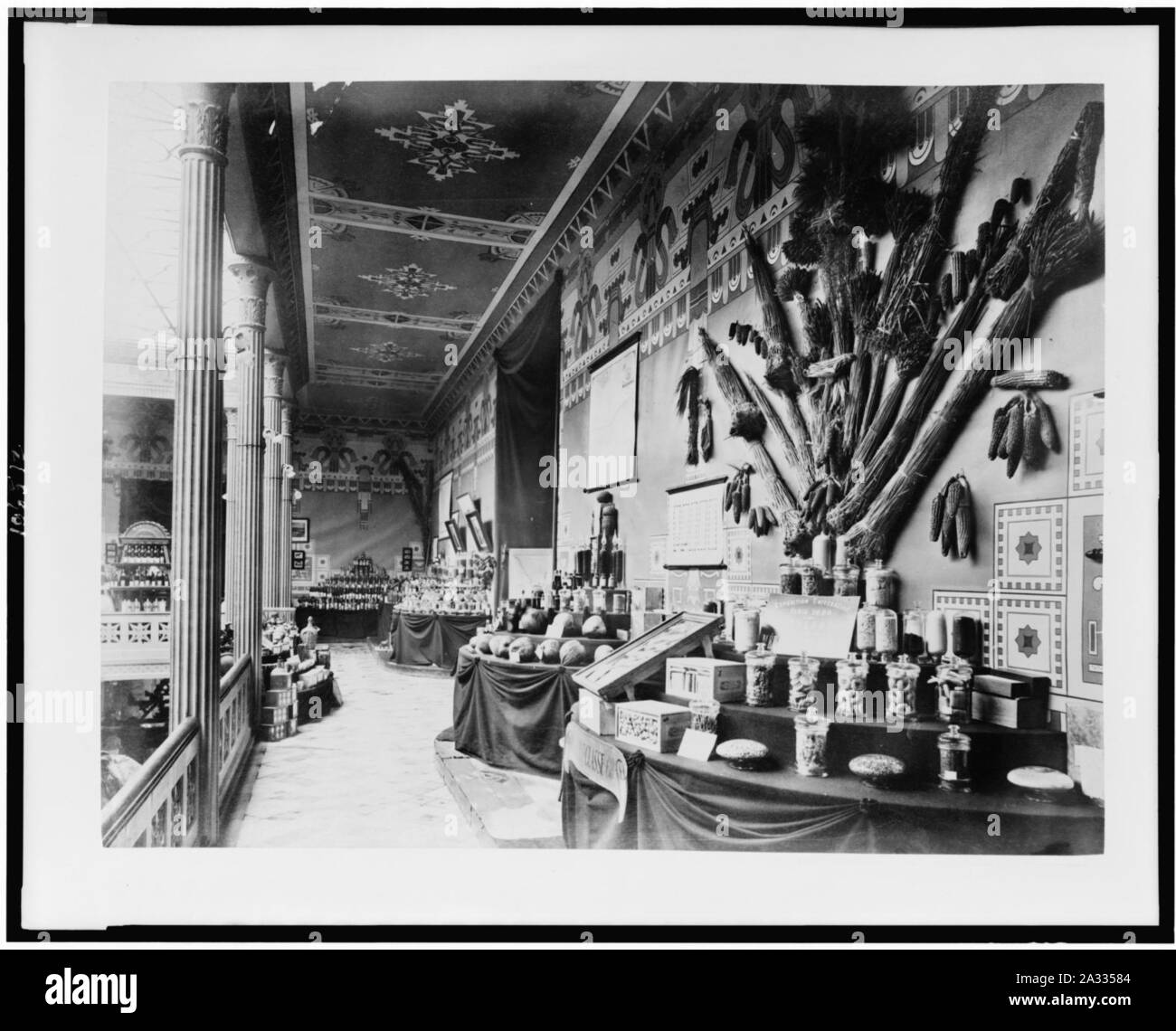 Exhibit of food at the Pavilion of Mexico, Paris Exposition, 1889 Stock ...