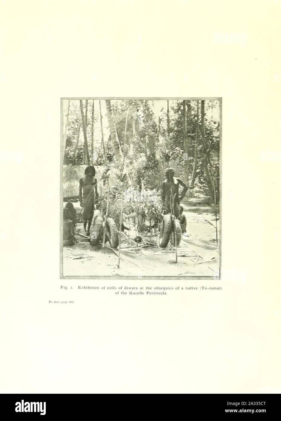 Exhibition of coils of diwara at the obsequies of a native of the ...