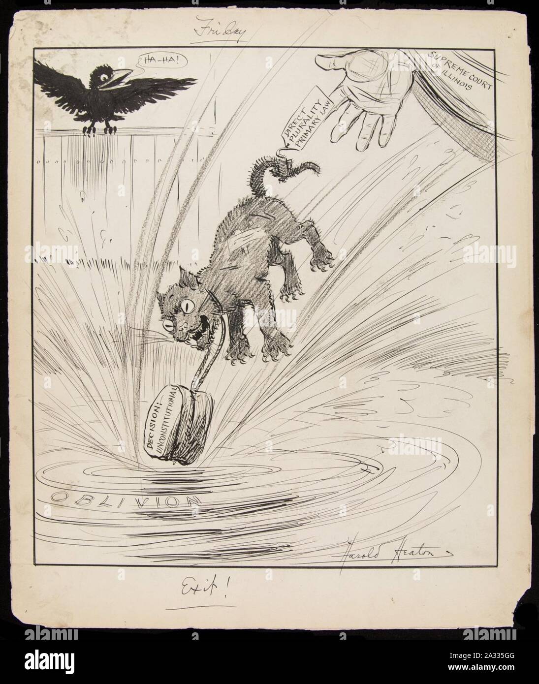 Drowned cat hi-res stock photography and images - Alamy