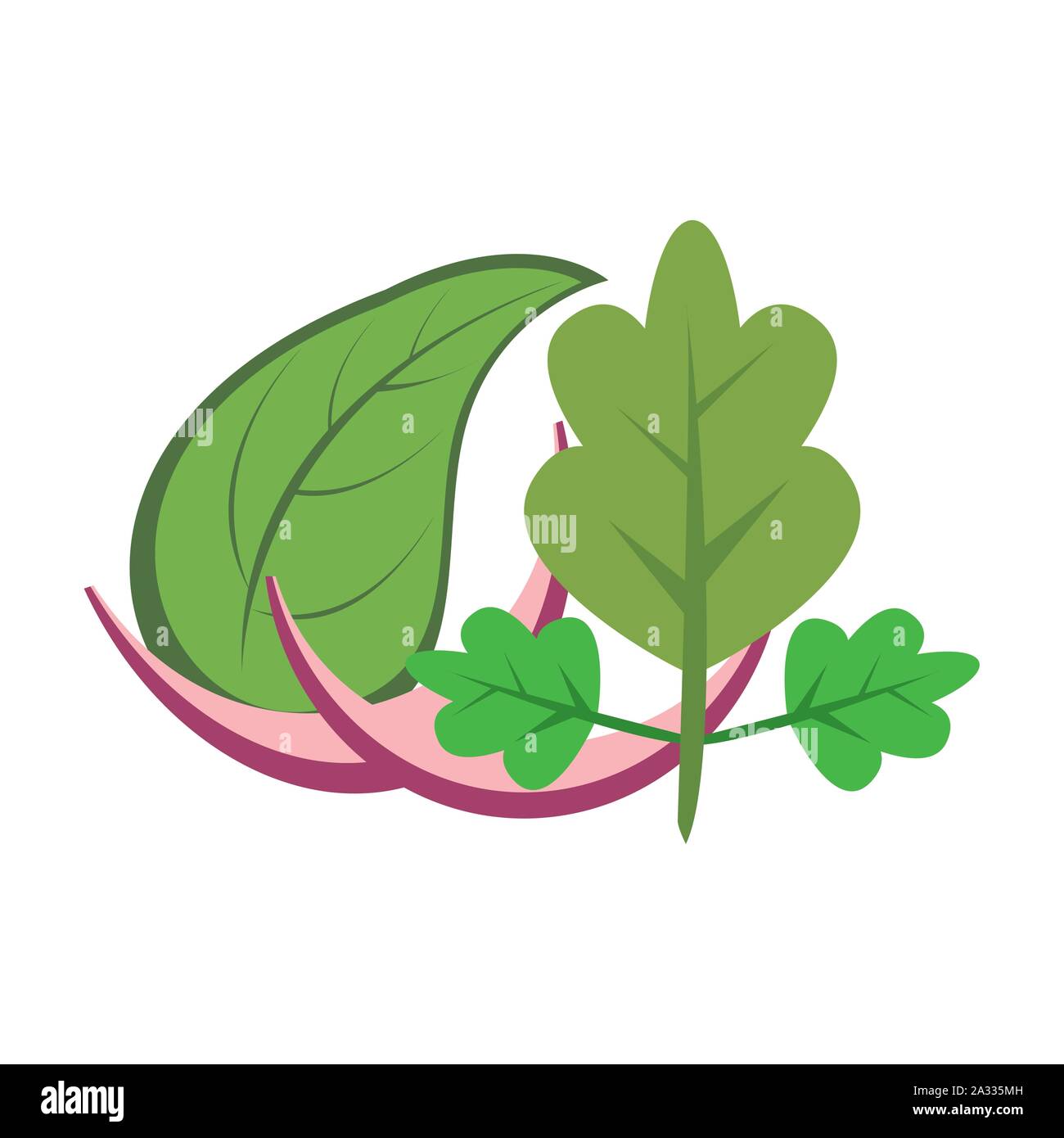 Red onion leaves Stock Vector Images - Alamy