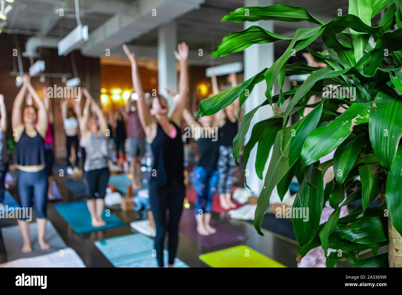 Practicing worship hi-res stock photography and images - Alamy