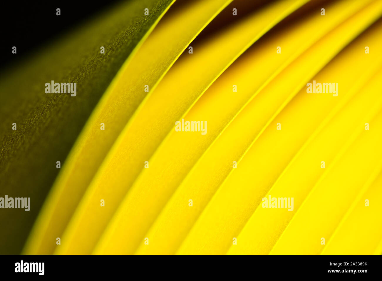 yellow color notepad abstract in bright light for background Stock ...