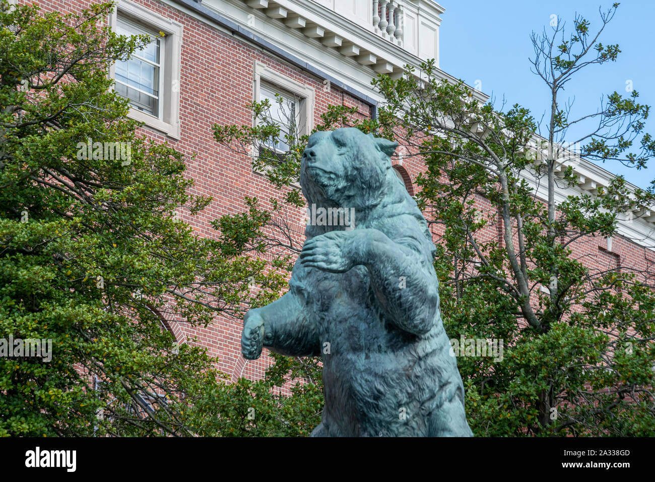 Brown University Bears