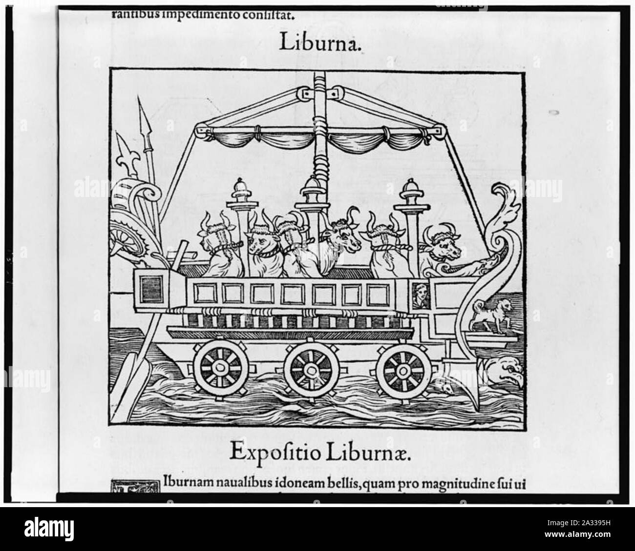 Expositio hi-res stock photography and images - Alamy