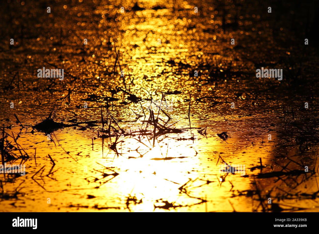 Beautiful sunrise on rice terraces hi-res stock photography and images ...