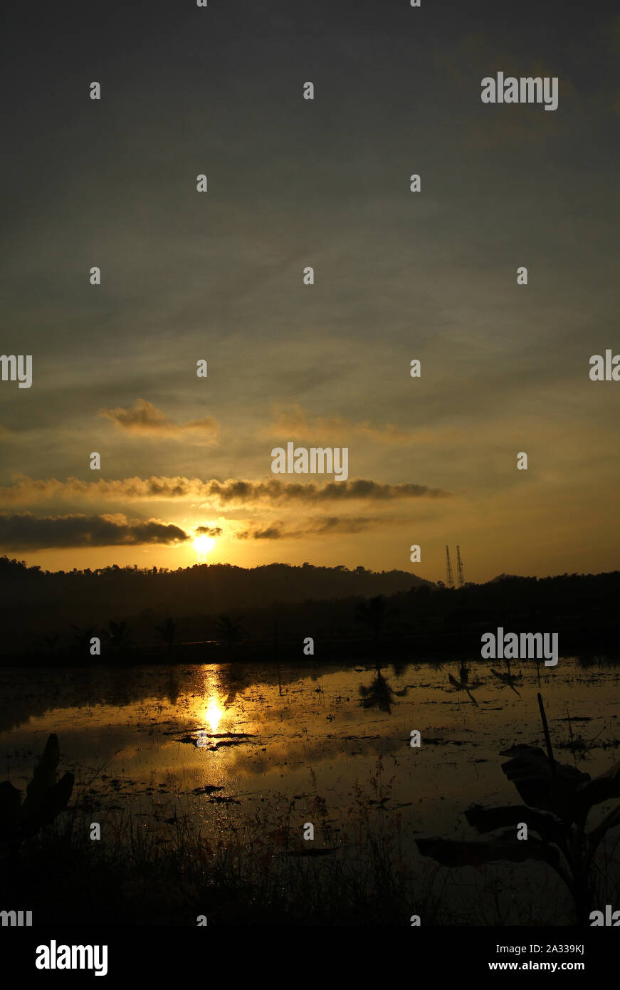 sunrise and sun reflection on empty paddy field Stock Photo - Alamy