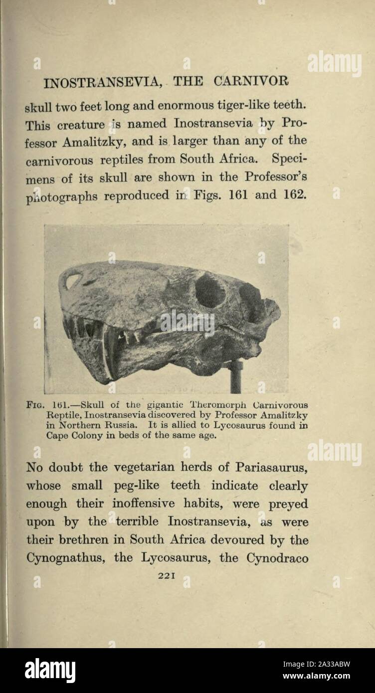 Page 221 hi-res stock photography and images - Alamy