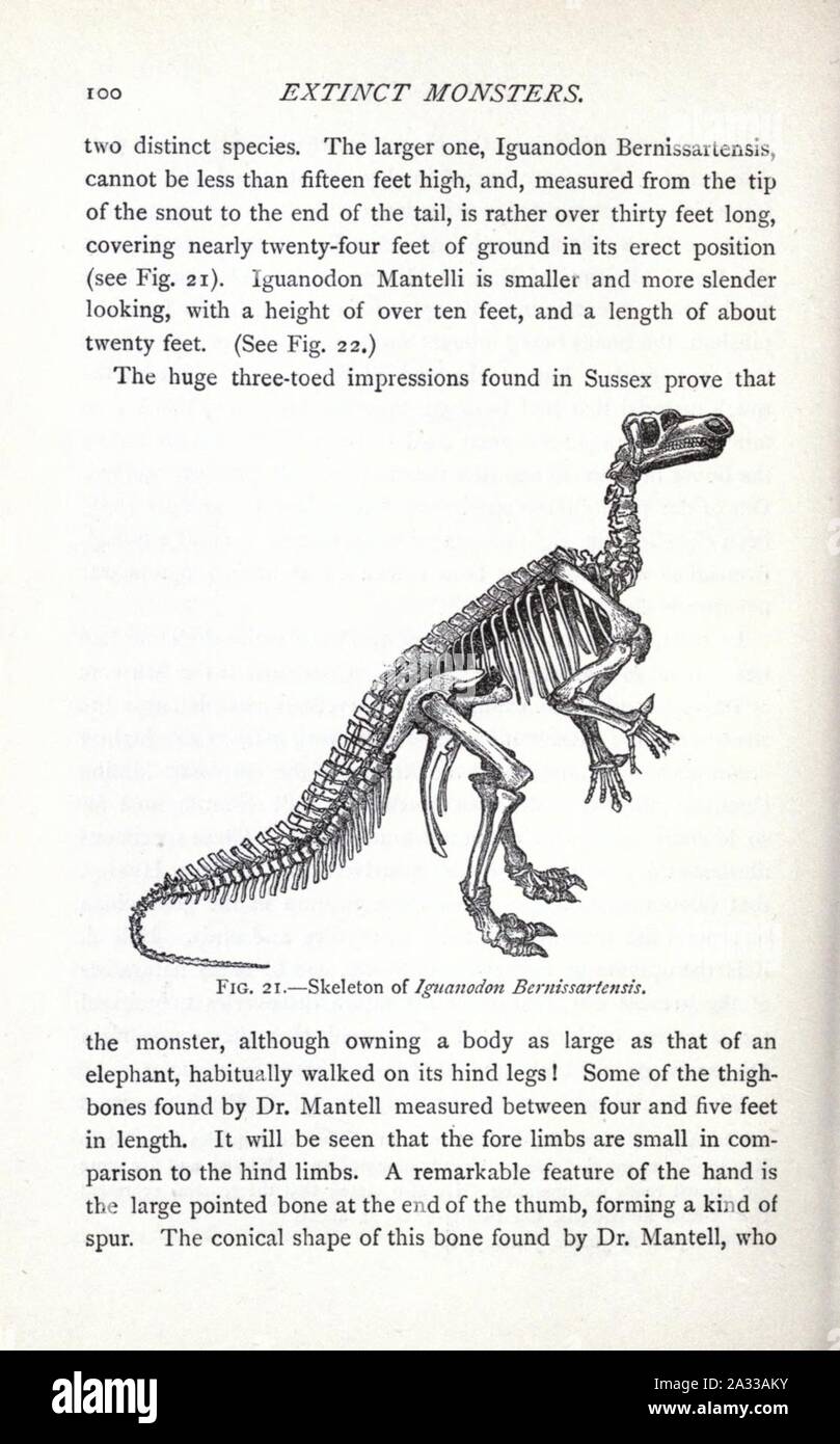 Extinct monsters (Page 100 Stock Photo - Alamy