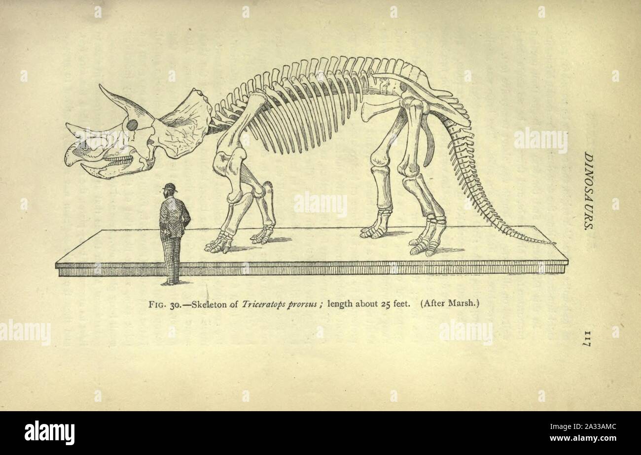 Extinct monsters (Page 117 Stock Photo - Alamy