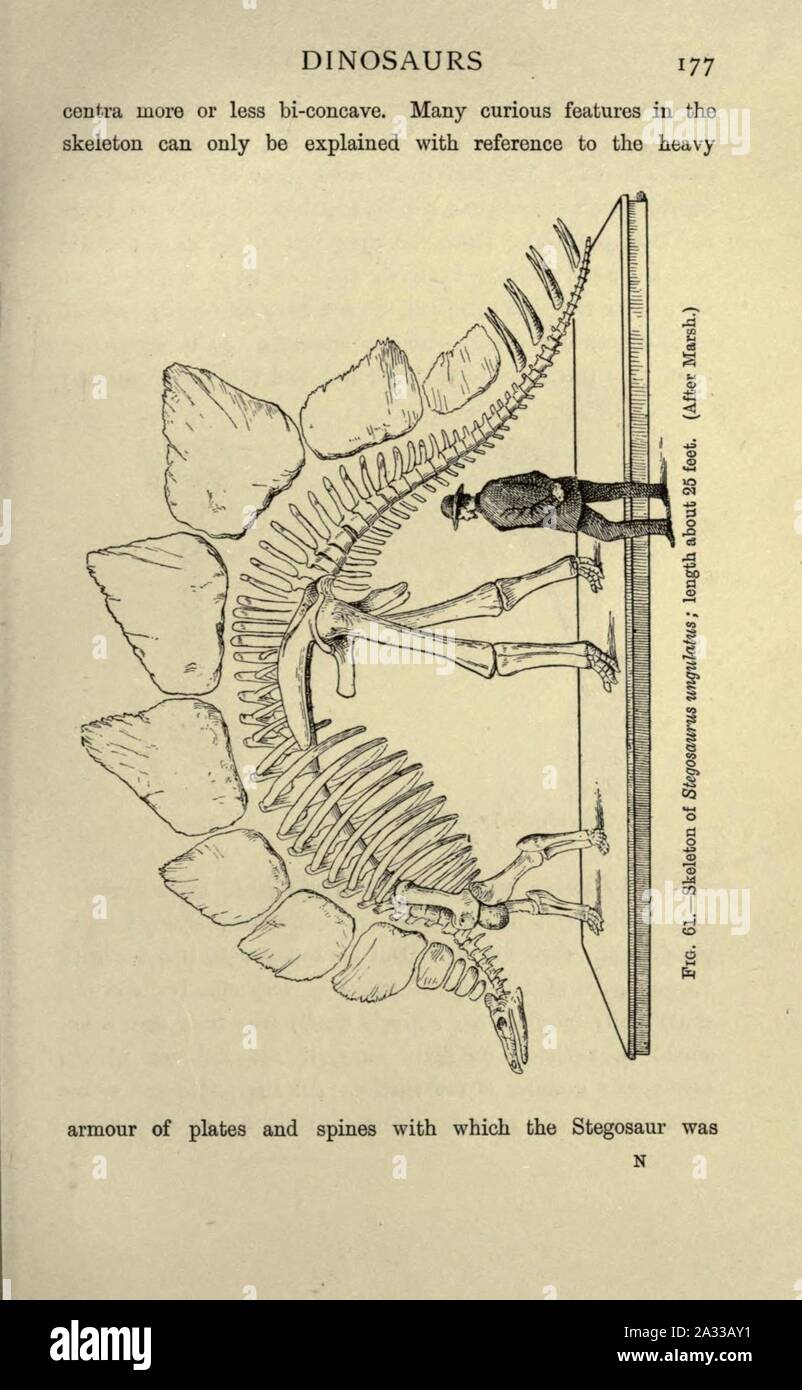 Extinct monsters and creatures of other days (Page 177 Stock Photo - Alamy