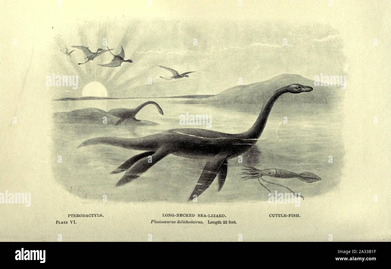 Extinct monsters and creatures of other days Stock Photo - Alamy