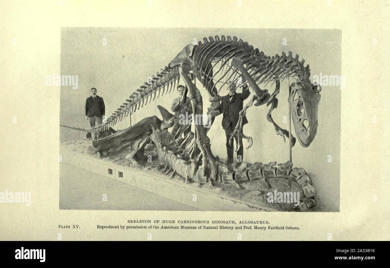 Extinct monsters and creatures of other days Stock Photo - Alamy