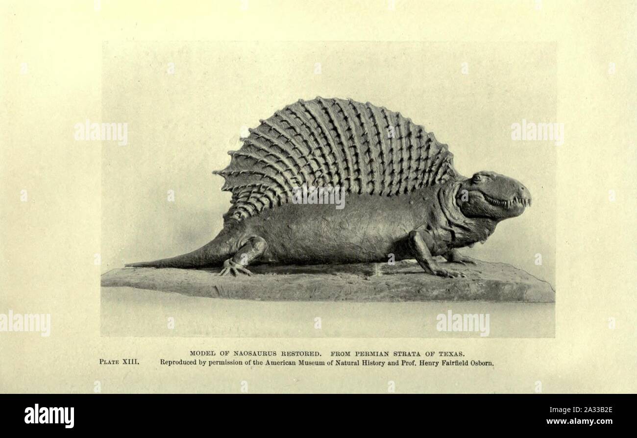 Extinct monsters and creatures of other days Stock Photo - Alamy