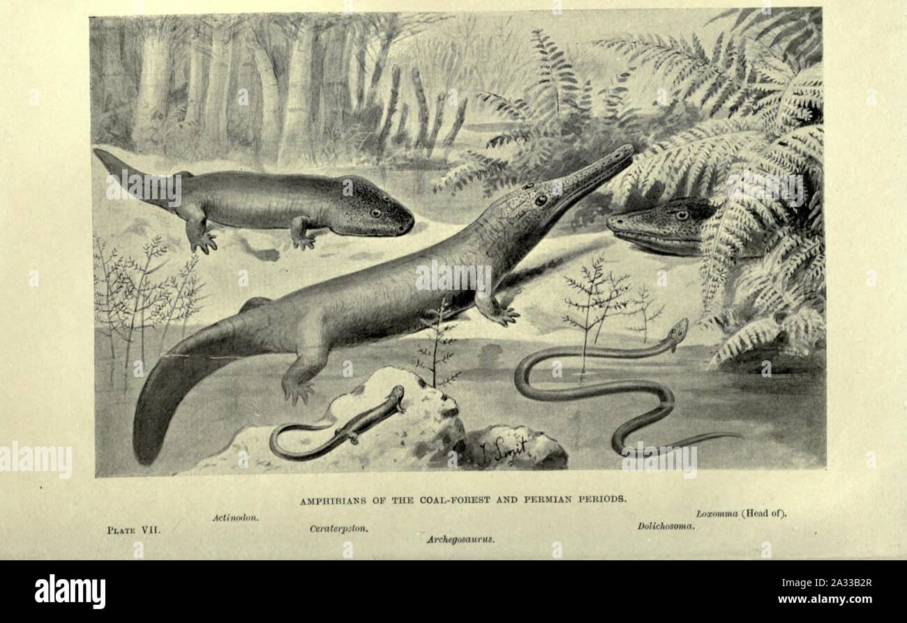 Extinct monsters and creatures of other days Stock Photo - Alamy