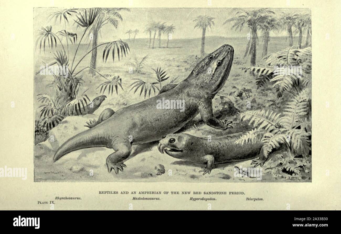 Extinct monsters and creatures of other days Stock Photo - Alamy