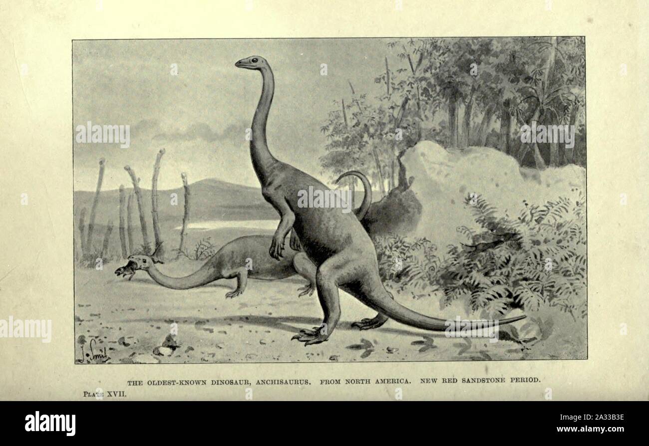 Extinct monsters and creatures of other days Stock Photo - Alamy