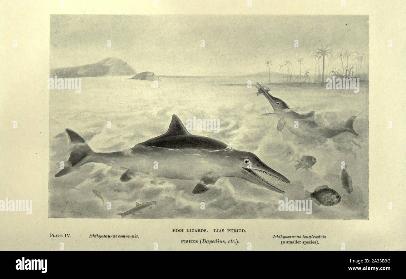 Extinct monsters and creatures of other days Stock Photo - Alamy