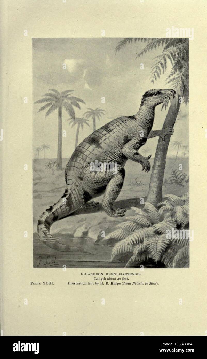 Extinct monsters and creatures of other days Stock Photo - Alamy