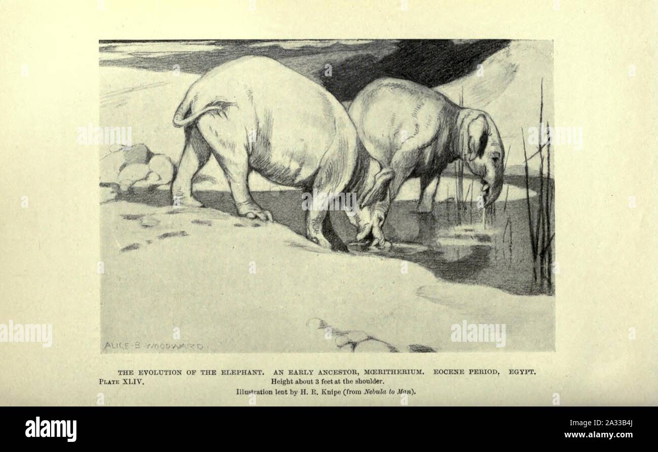 Extinct monsters and creatures of other days Stock Photo - Alamy