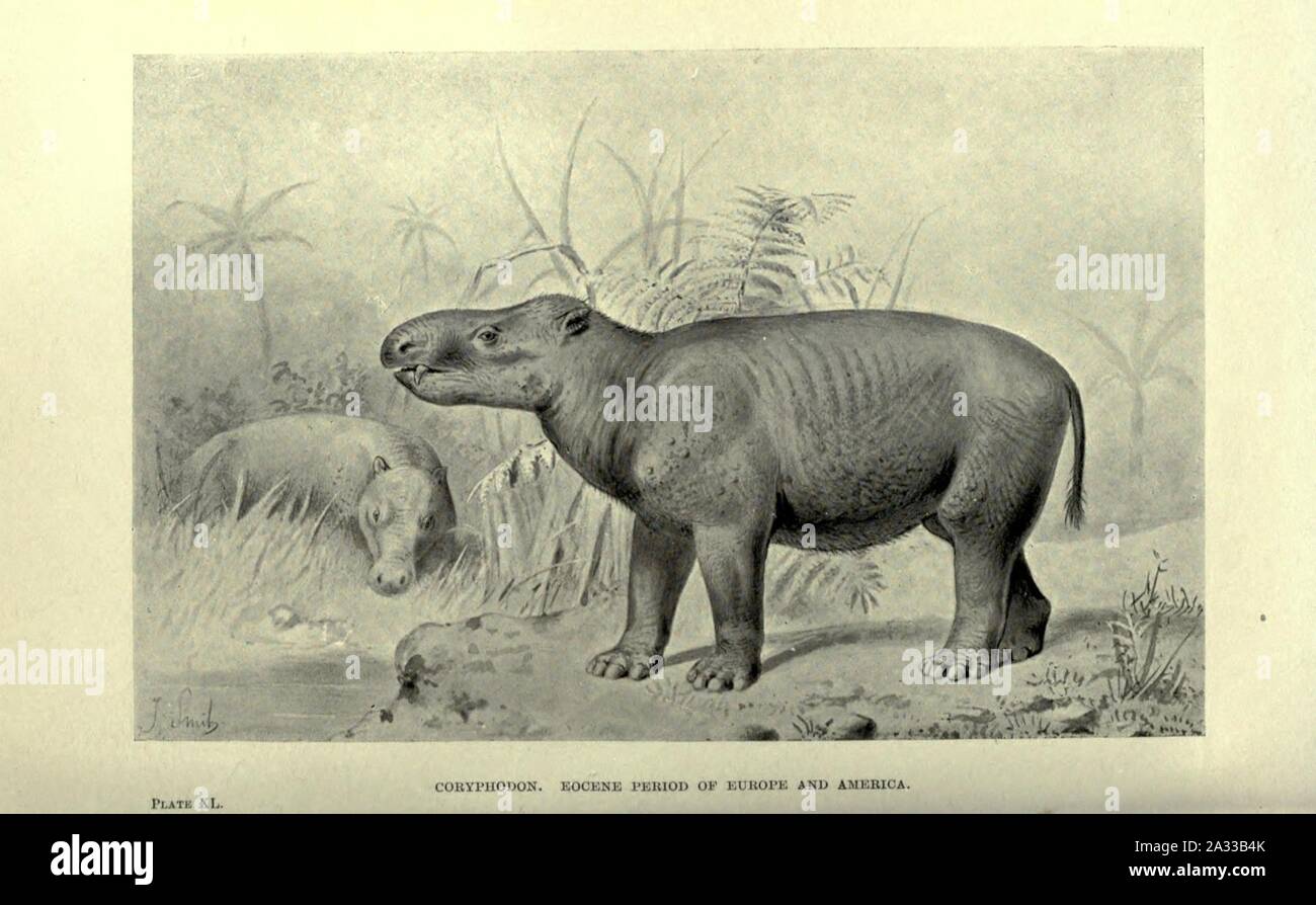 Extinct monsters and creatures of other days Stock Photo - Alamy