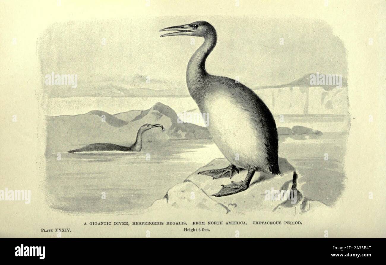 Extinct monsters and creatures of other days Stock Photo - Alamy