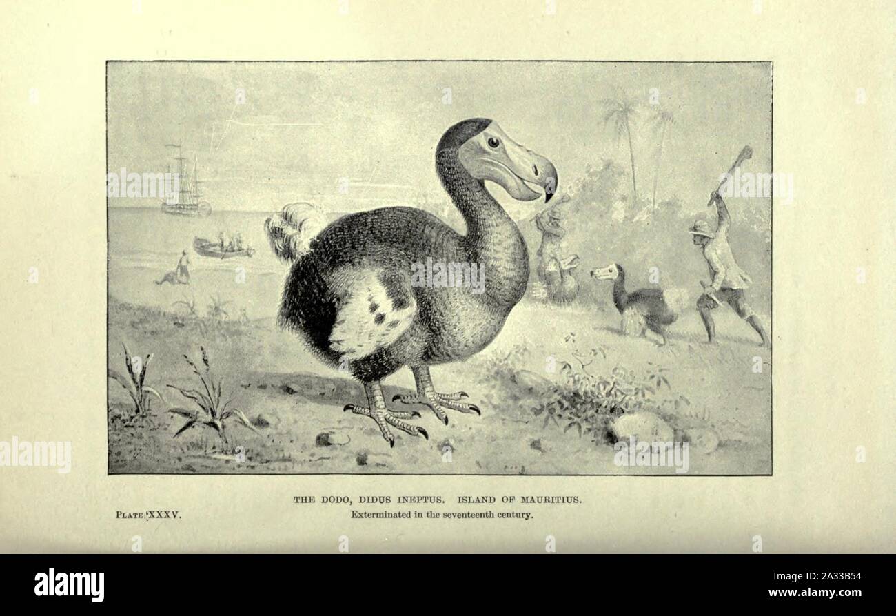 Extinct monsters and creatures of other days Stock Photo - Alamy