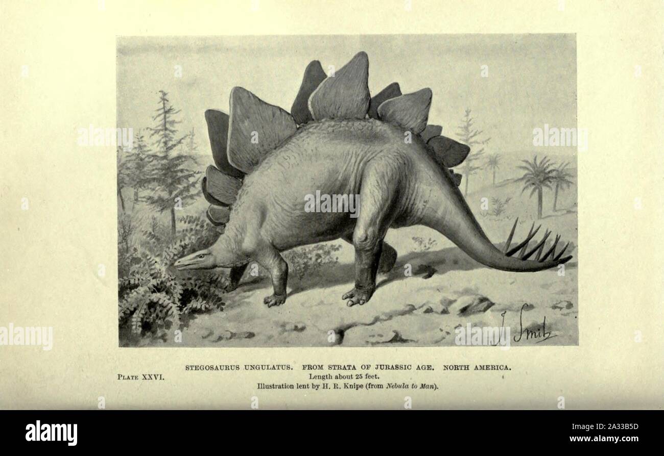 Extinct monsters and creatures of other days Stock Photo - Alamy