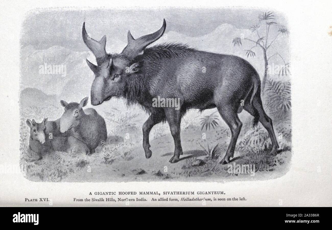 Extinct monsters hi-res stock photography and images - Alamy