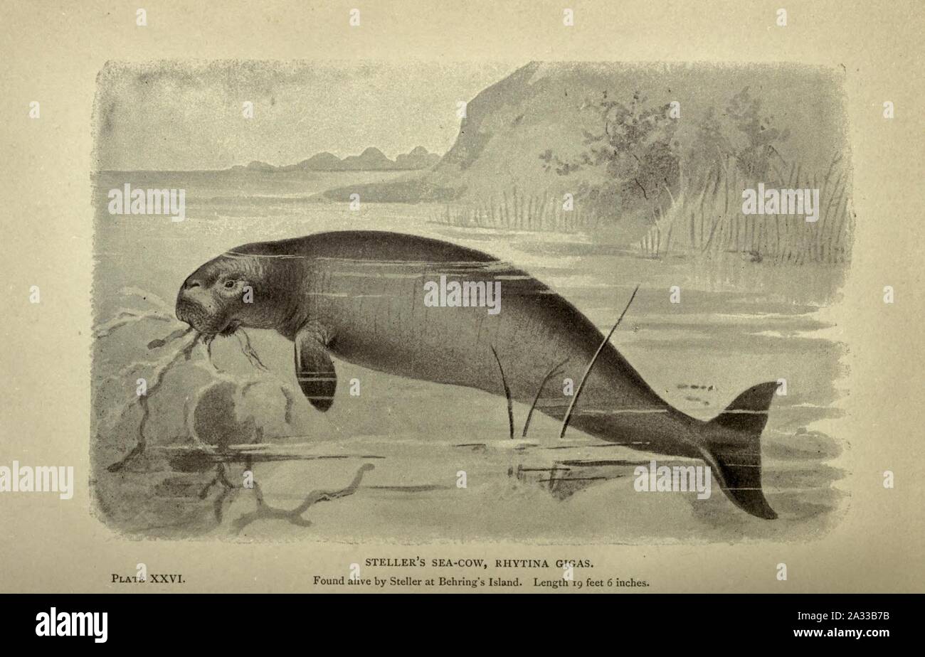 Extinct monsters hi-res stock photography and images - Alamy