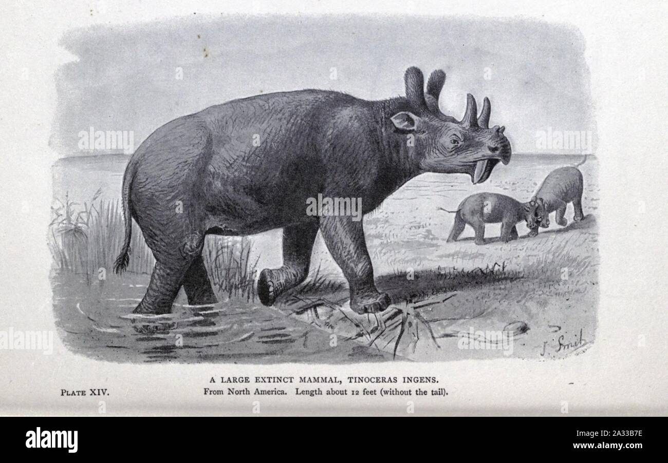 Extinct monsters hi-res stock photography and images - Alamy