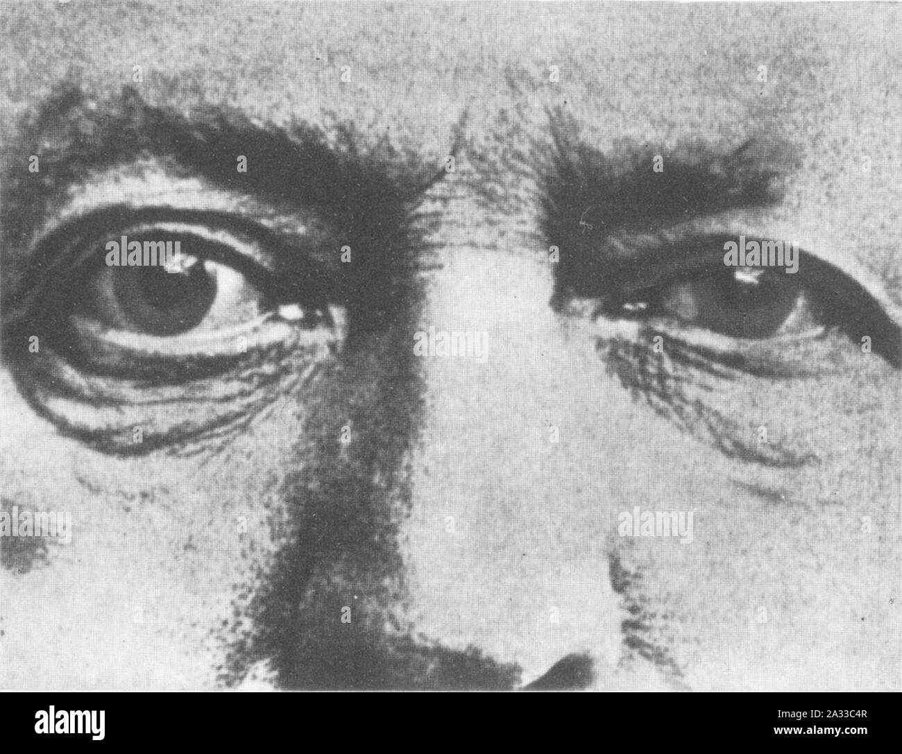 Guno Black and White Stock Photos & Images - Alamy