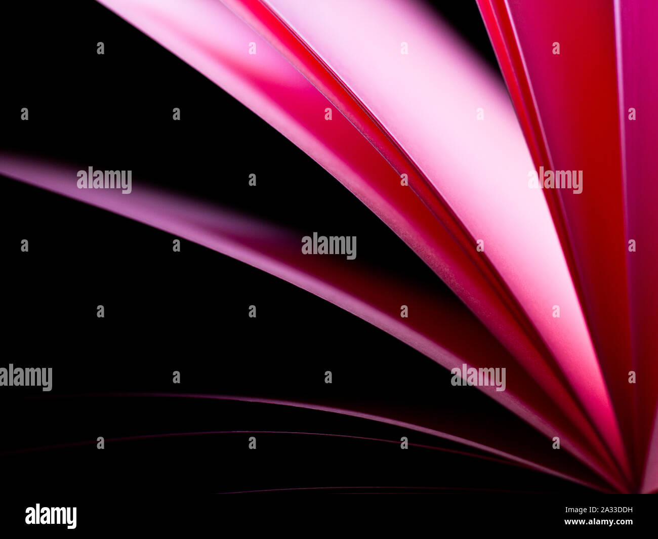 bright pink colored illuminated notepad in various position and ...