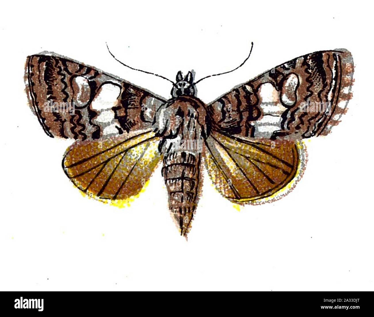 Compta hi-res stock photography and images - Alamy