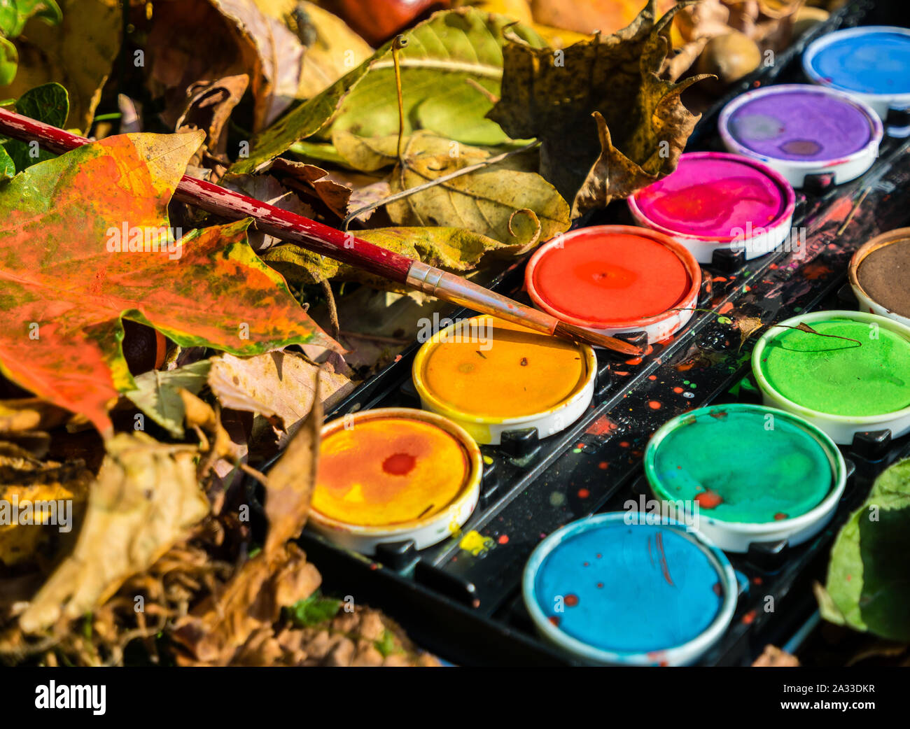 Still life tree watercolour hi-res stock photography and images - Alamy