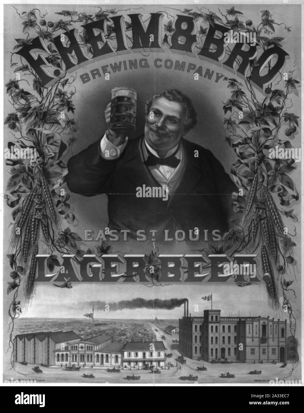 Beer bro hi-res stock photography and images - Alamy