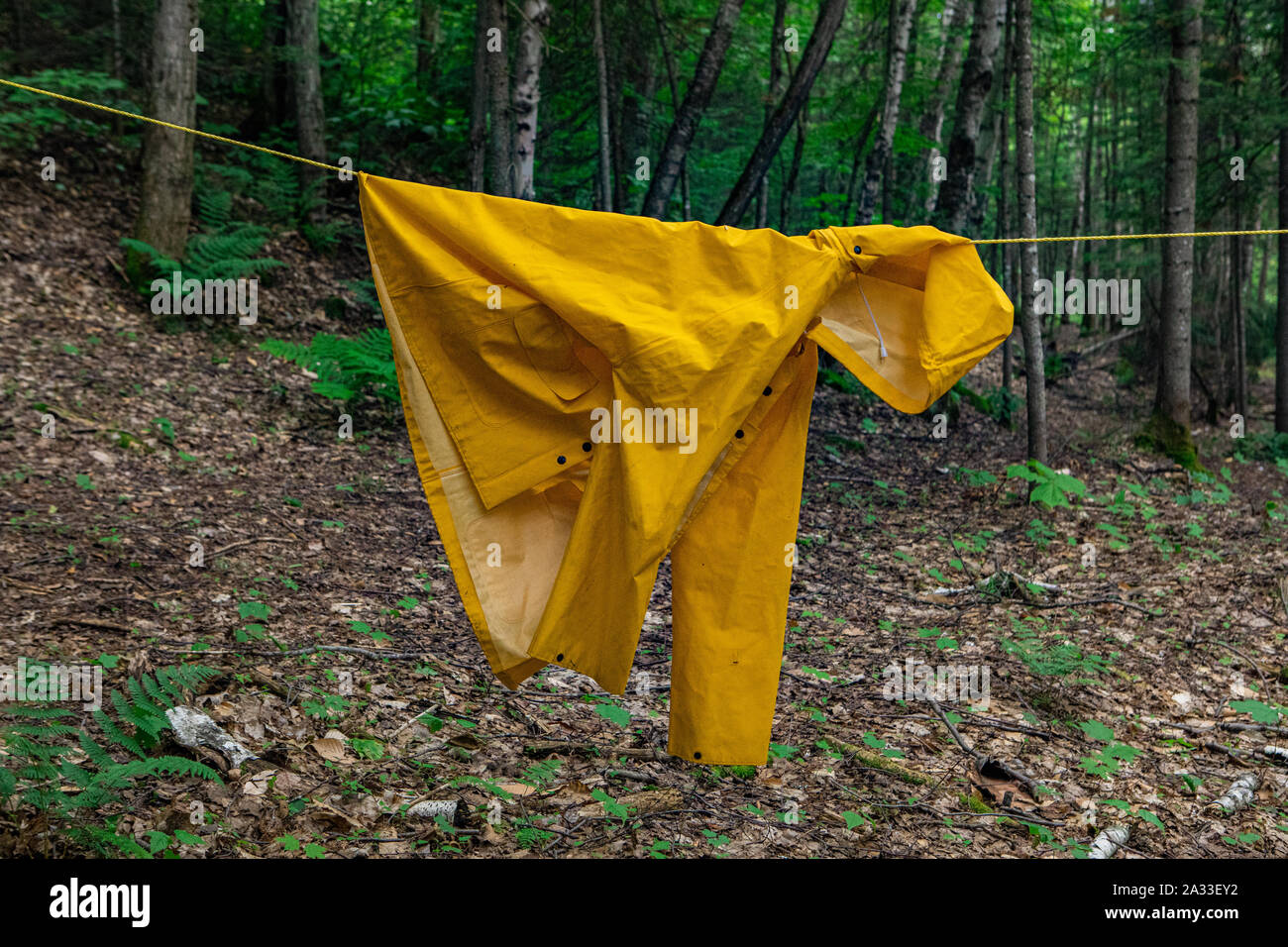 A yellow rain mac coat is seen hung up to dry on a long line in ...