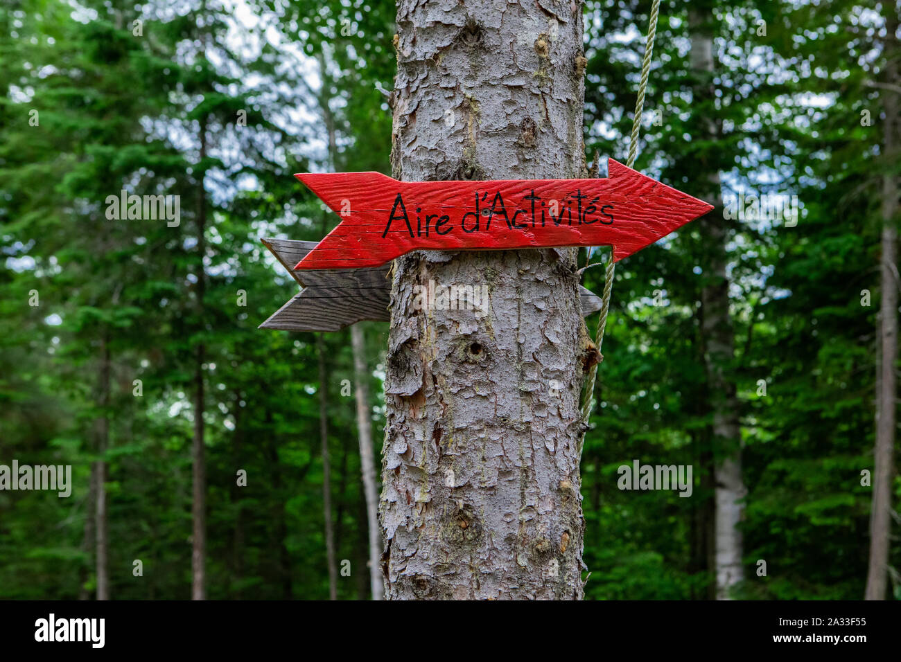 Shamanic Tree High Resolution Stock Photography and Images - Alamy