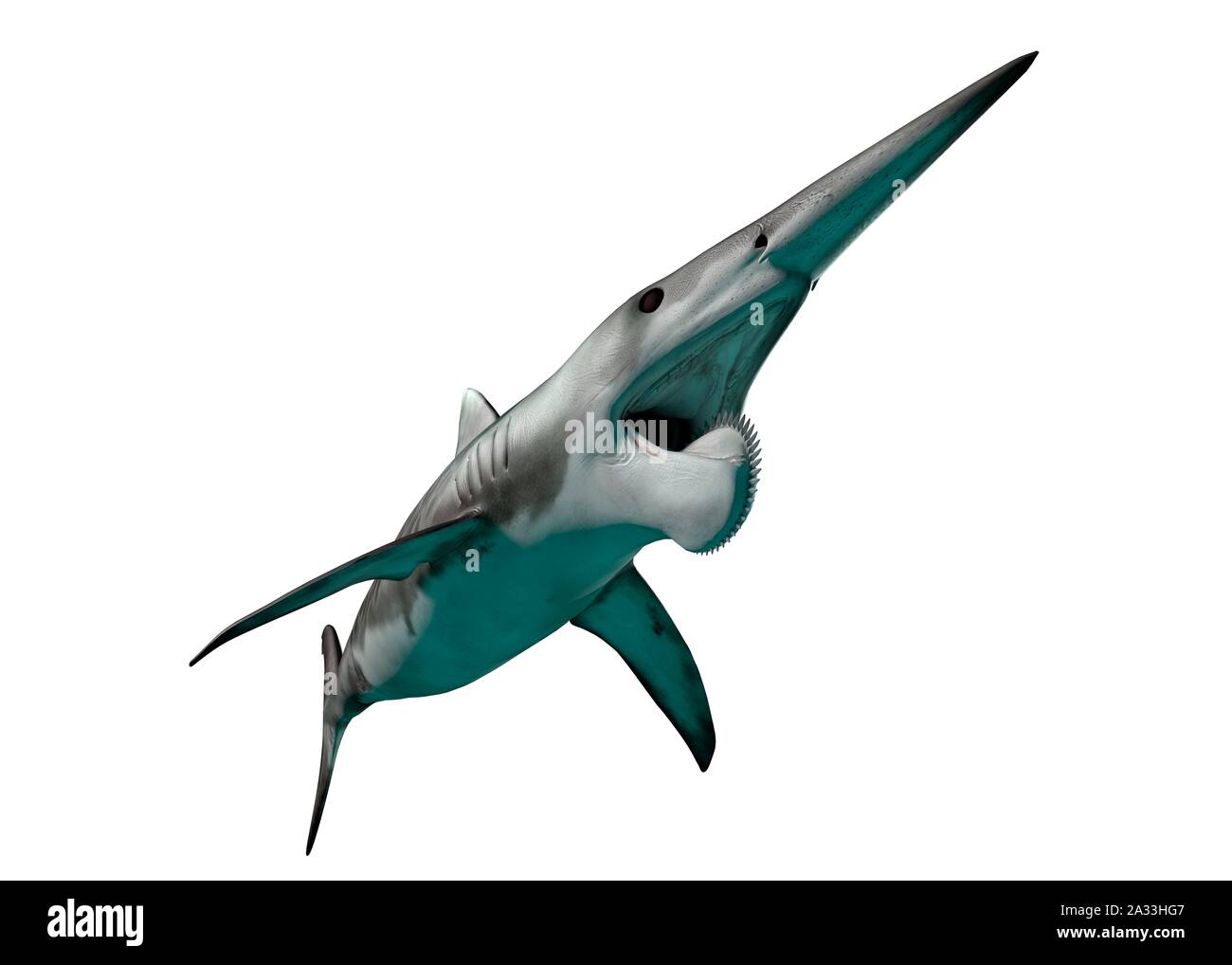 Forhistorisk Hai Helicoprion
